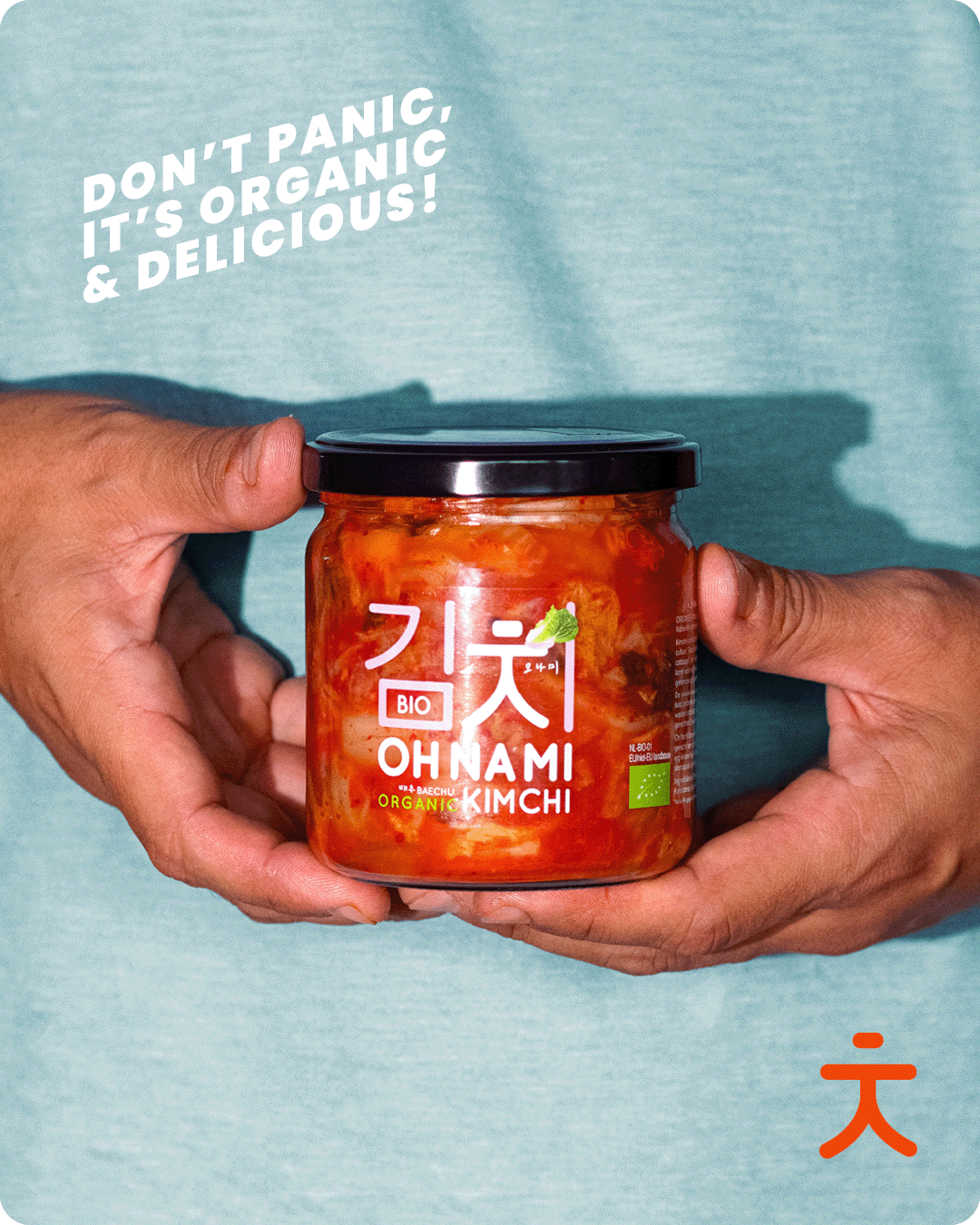 Our guide showcasing 10 different types of kimchi